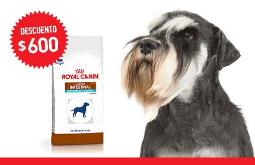 Gastrointestinal Moderate Calorie | Mi Royal Canin